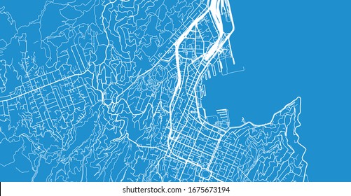 Urban Vector City Map Wellington New Stock Vector (Royalty Free ...