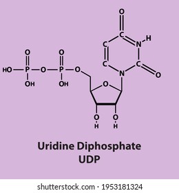 Udps Images, Stock Photos & Vectors | Shutterstock