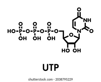 Uridylyl Images, Stock Photos & Vectors | Shutterstock