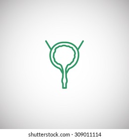 Urinary Bladder Icon Stock Vector (Royalty Free) 309011114 | Shutterstock