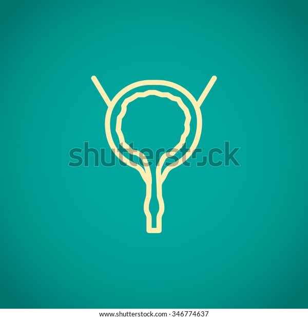 Urinary Bladder Icon Stock Vector (Royalty Free) 346774637 | Shutterstock