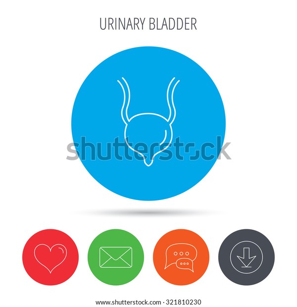 Urinary Bladder Icon Human Body Organ Stock Vector (Royalty Free ...