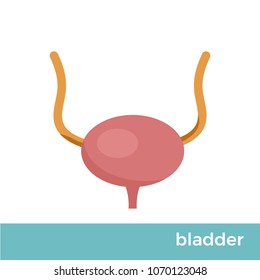 Urethra Images, Stock Photos & Vectors | Shutterstock