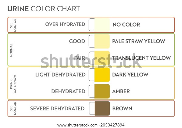 Urine Color Chart Pee Hydration Dehydration Stok Vektör (Telifsiz ...