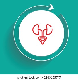 239 Andrology icon Images, Stock Photos & Vectors | Shutterstock