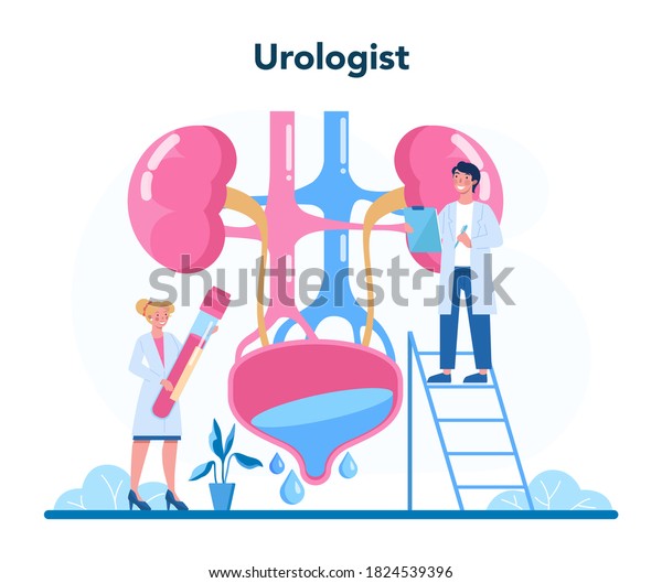 Urologist Concept Idea Kidney Bladder Treatment Stock Vector (Royalty ...