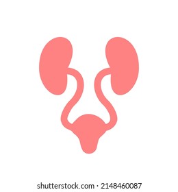 Urology Linear Icon Modern Outline Urology Stock Vector (Royalty Free ...