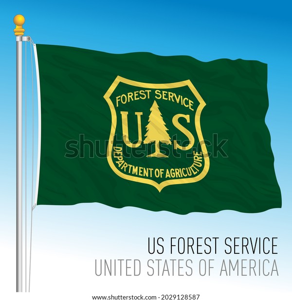 Us Forest Service Flag United States Stock Vector (Royalty Free ...