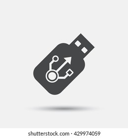 Usb Sign Icon Usb Flash Drive Stock Vector (Royalty Free) 429974059 ...