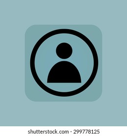 User Icon Circle Square On Pale Stock Vector (Royalty Free) 299778125