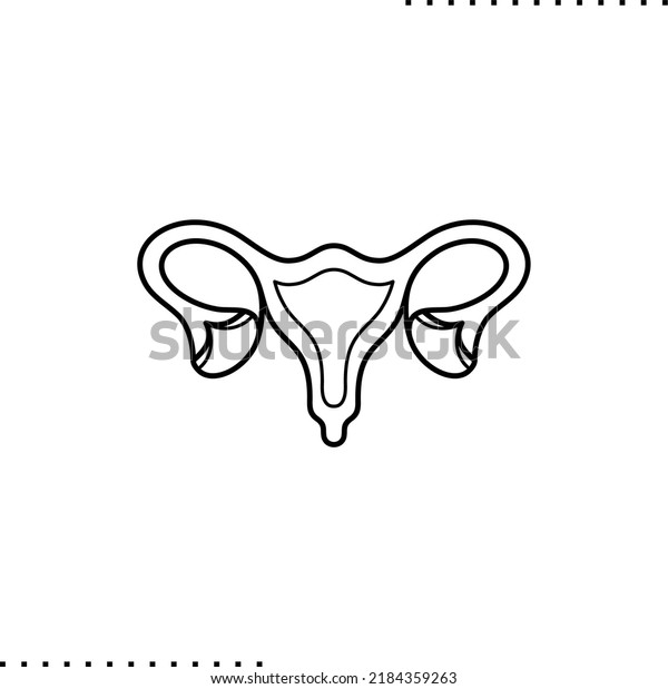 Uterus Female Reproductive System Vector Isolated Stock Vector (Royalty ...