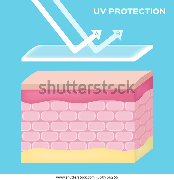 Uv Protection Vector Skin Stock Vector (Royalty Free) 550956265