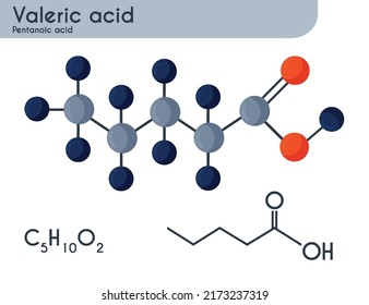 Valeric Acid Pentanoic Acid Valerate Molecule: เวกเตอร์สต็อก (ปลอดค่า ...