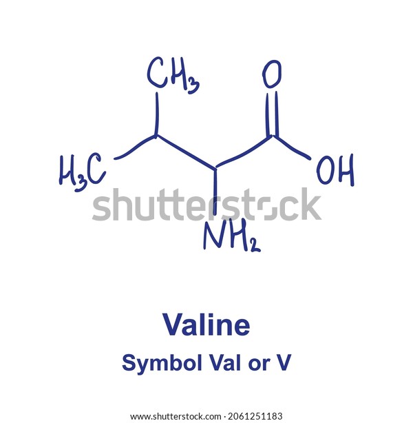 Valine Chemical Structure Vector Illustration Hand Stock Vector ...