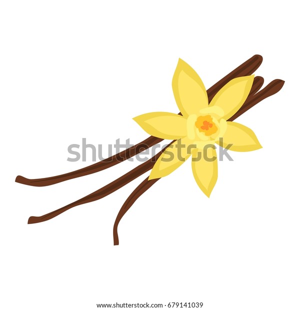 Vanilla Icon Cartoon Illustration Vanilla Vector Stock Vector (Royalty ...