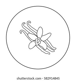 Vanilla Icon Outline Style Isolated On Stock Vector (Royalty Free ...