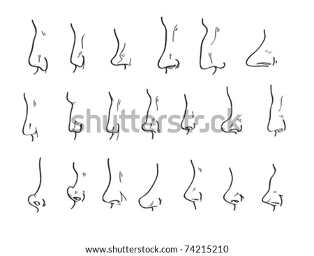 Variety Different Noses All Shapes Sizes Stock Vector (Royalty Free ...