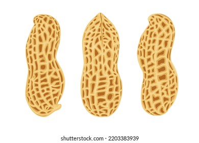 10,262 Peanut graphic Images, Stock Photos & Vectors | Shutterstock