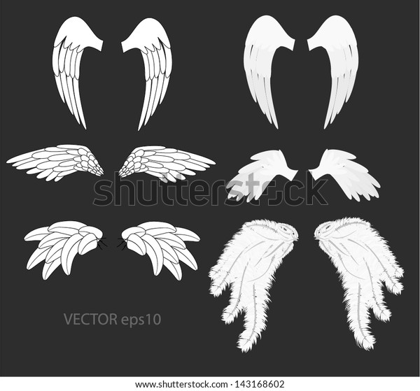 Various Angel Wings Vector Set Stock Vector (Royalty Free) 143168602