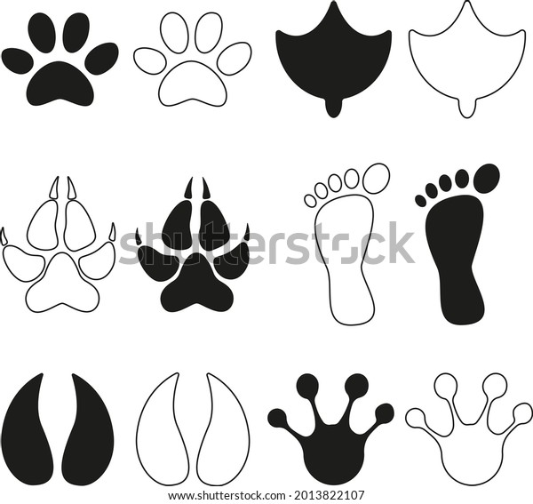 Various Animal Tracks Cats Ducks Humans Stock Vector (Royalty Free ...