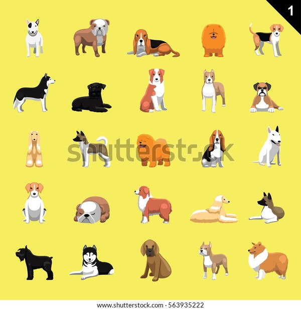 Various Dog Breeds Vector Illustration Set: เวกเตอร์สต็อก (ปลอดค่า ...