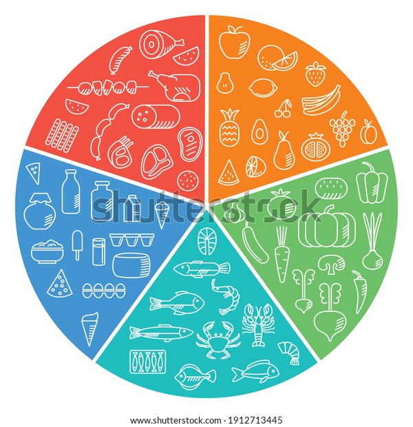 Various Food Groups Color Segments Vector Stock Vector (Royalty Free ...