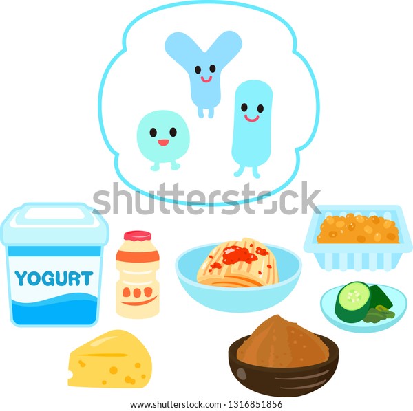 Various Foods Including Lactic Acid Bacteria Stock Vector (Royalty Free ...