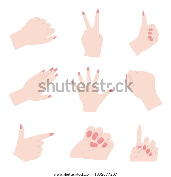 Various Hand Poses Illustration Set Stock Vector (Royalty Free ...