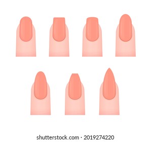 Squoval Images, Stock Photos & Vectors | Shutterstock