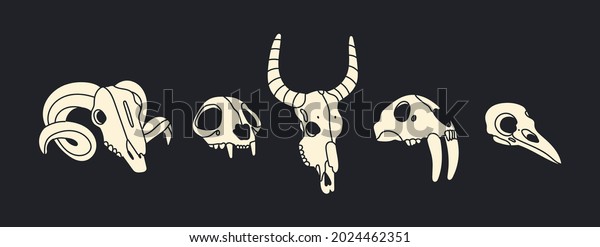 Various Skulls Different Animals Bird Skull Stock Vector (Royalty Free ...