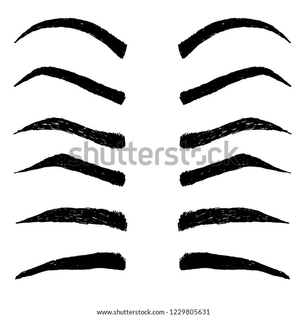 Various Types Eyebrowseyebrow Shapes Vector Stock Vector (Royalty Free ...