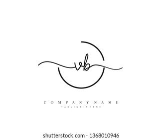 Cat Line Art Stock Vector (Royalty Free) 246191323 | Shutterstock