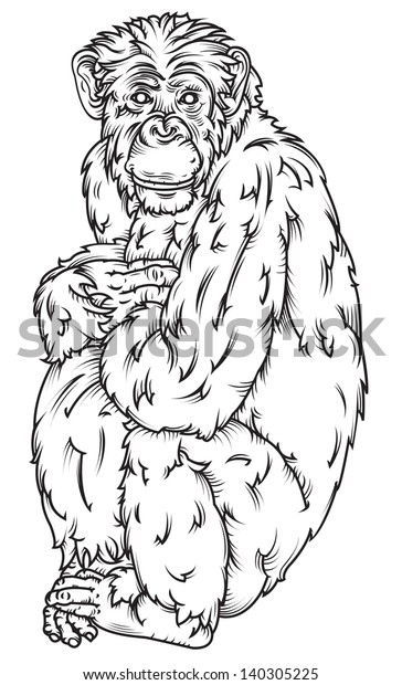 Vectior Drawing Chimpanzeeape Detailed Vector Line 스톡 벡터(로열티 프리) 140305225