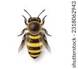 2+ Million Bee Royalty-Free Images, Stock Photos & Pictures | Shutterstock