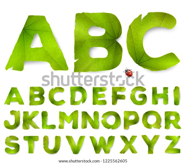 Vector Alphabet Letters Made Green Leaves Stock Vector (Royalty Free ...