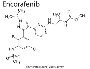 Vector Anticancer Drug Molecule Encorafenib Stock Vector (Royalty Free ...