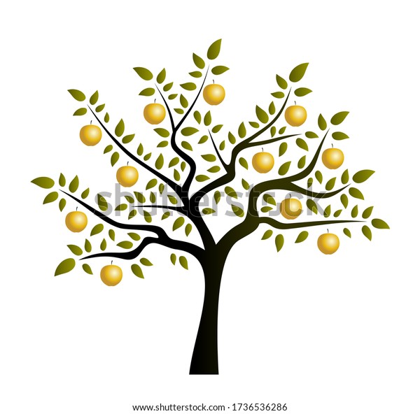 Vector Apple Tree Golden Apples Isolated Stock Vector (Royalty Free ...