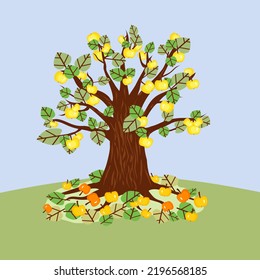 Vector Appletree Illustration Fallen Apples Watercolor Stock Vector ...