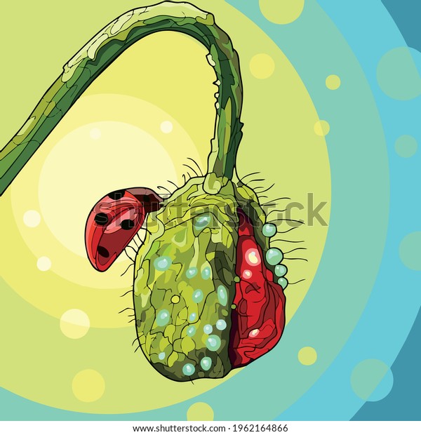 Vector Art Illustration Insectivorous Plants 스톡 벡터(로열티 프리) 1962164866 ...