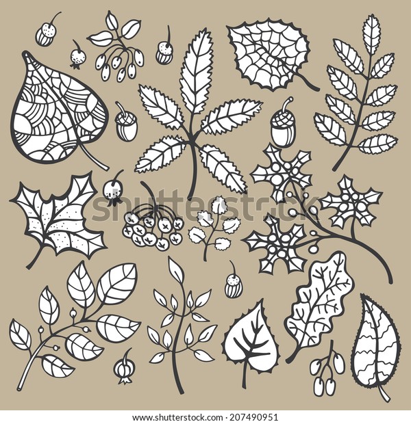 Vector Autumn Leaves Decor Doodle Set Stock Vector (Royalty Free) 207490951