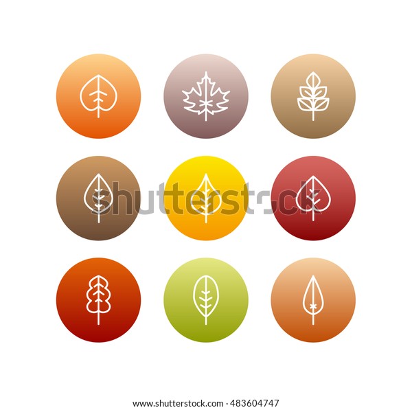 Vector Autumn Leaves Icons Set Fall Stock Vector (Royalty Free ...