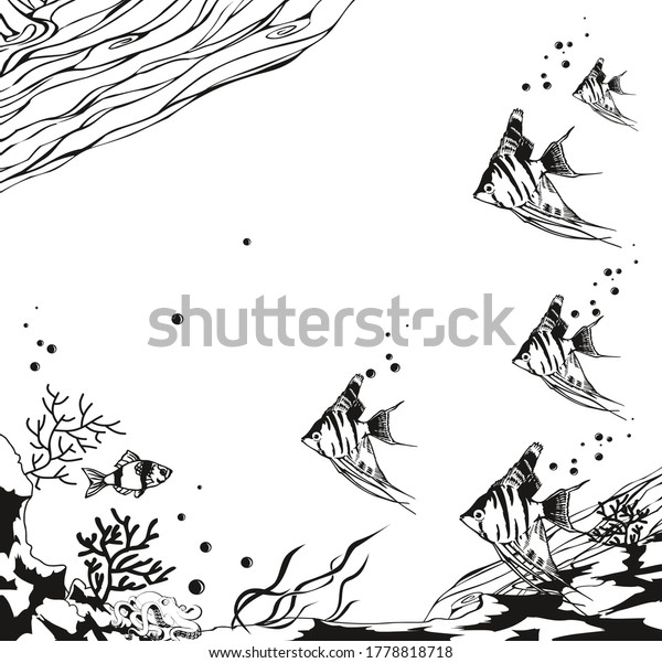 Vector Background Illustration Beautiful Scalar Fishes Stock Vector ...