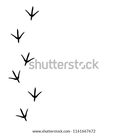 Turkey Tracks Clipart | Free download on ClipArtMag