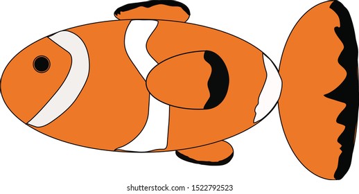 Vector Background White Fish Cartoon Amphiprioninae Stock Vector ...