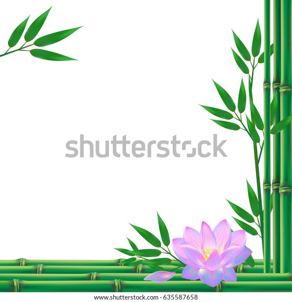 Vector Bamboo Illustration Pink Lotus Bamboo Stock Vector (Royalty Free ...