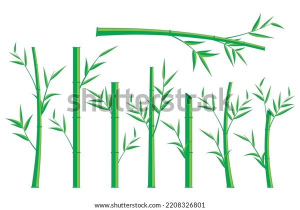 Vector Bamboo Tree Illustration Bamboo Tree Stock Vector (Royalty Free ...