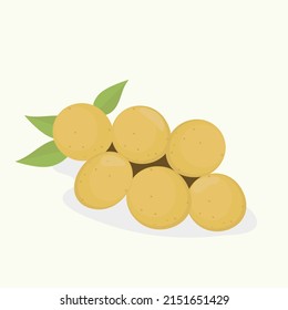 Vector Beautiful Langsat On White Background Stock Vector (Royalty Free ...