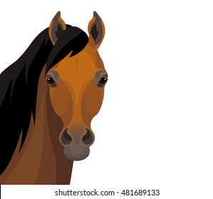 5,450 Front facing horse Images, Stock Photos & Vectors | Shutterstock