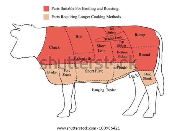 Vector Beef Cuts Chart Cow Stock Vector (Royalty Free) 100986421 ...