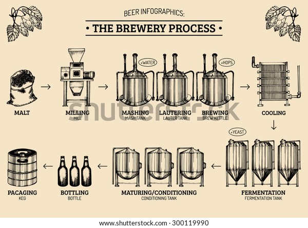Vector Beer Infographics Illustrations Brewery Process Stock Vector ...